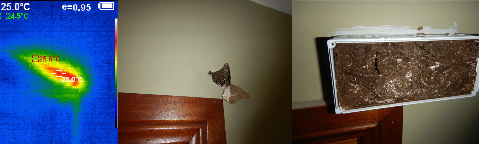 Redback Environmental Pest Management | Liverpool Liverpool Pest Control