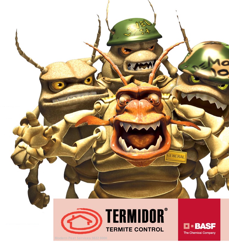 Termite Control Ashbury - Redback Environmental Pest Management | Liverpool